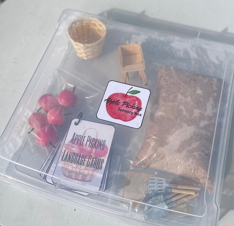 Sensory Play Apple Picking Bin Language Cards Wh Questions - Etsy