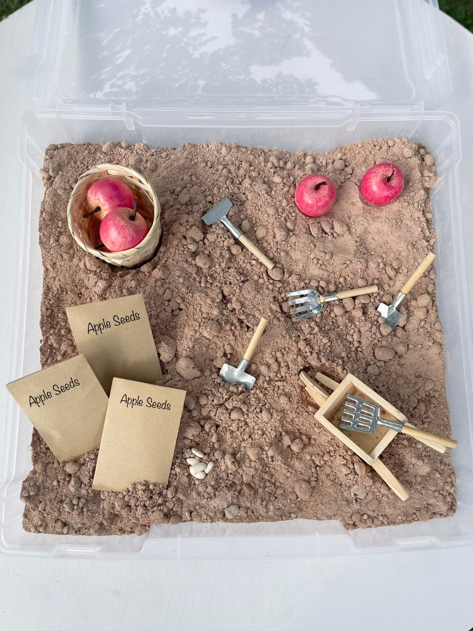 Sensory Play Apple Picking Bin, Language Cards, Wh Questions ...