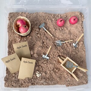 Sensory Play Apple Picking Bin, Language Cards, Wh Questions ...