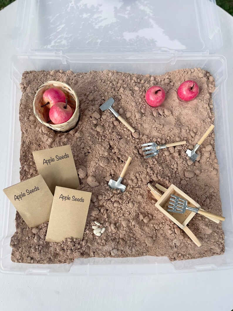 Sensory Play Apple Picking Bin, Language Cards, Wh Questions ...