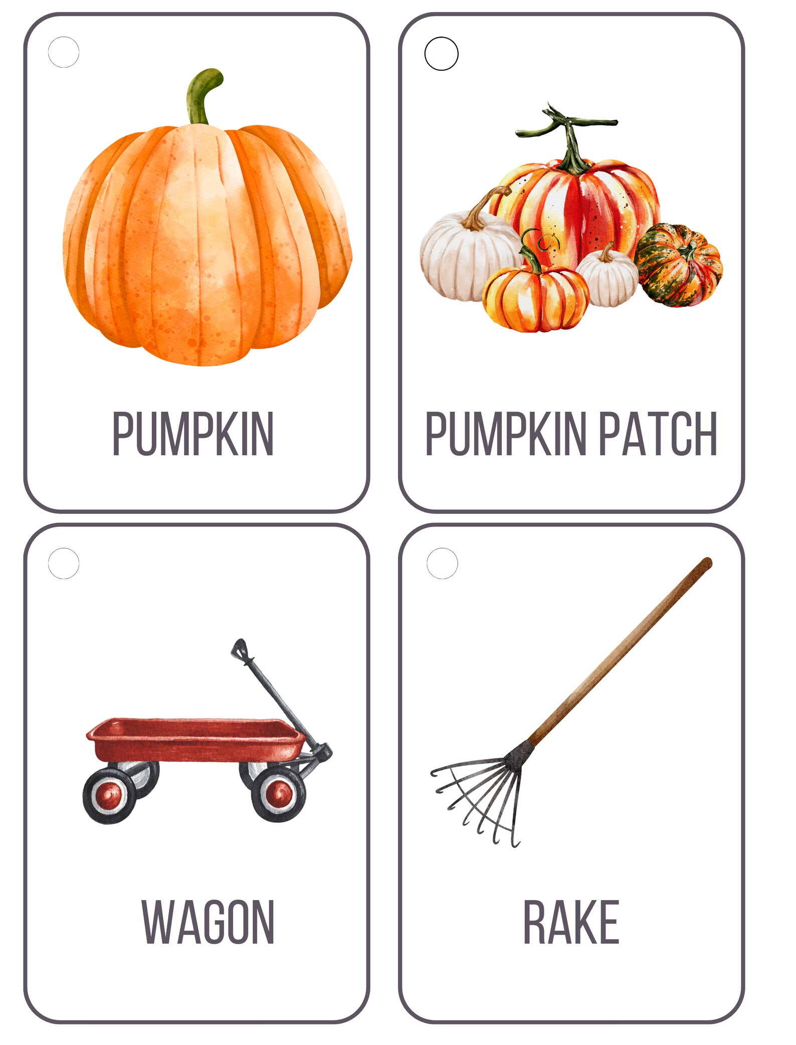 Instant Download Language Flashcards, Fall Pumpkin Picking, 'wh ...