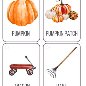 Instant Download Language Flashcards, Fall Pumpkin Picking, 'wh ...