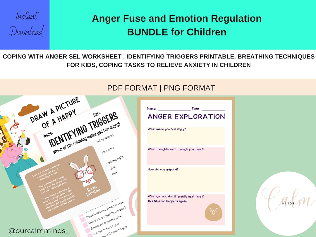 Coping With Anger SEL Worksheet , Identifying Triggers Printable ...