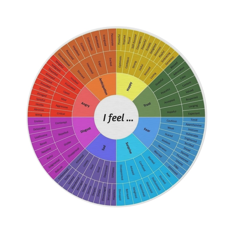 Feelings Wheel Rug, Feelings Wheel, Emotions Feeling Mat, Therapist ...