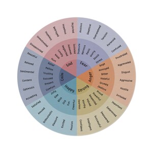 Feelings Wheel Round Rug, 60" Round Rug, Emotions Chart, Therapy Tools ...