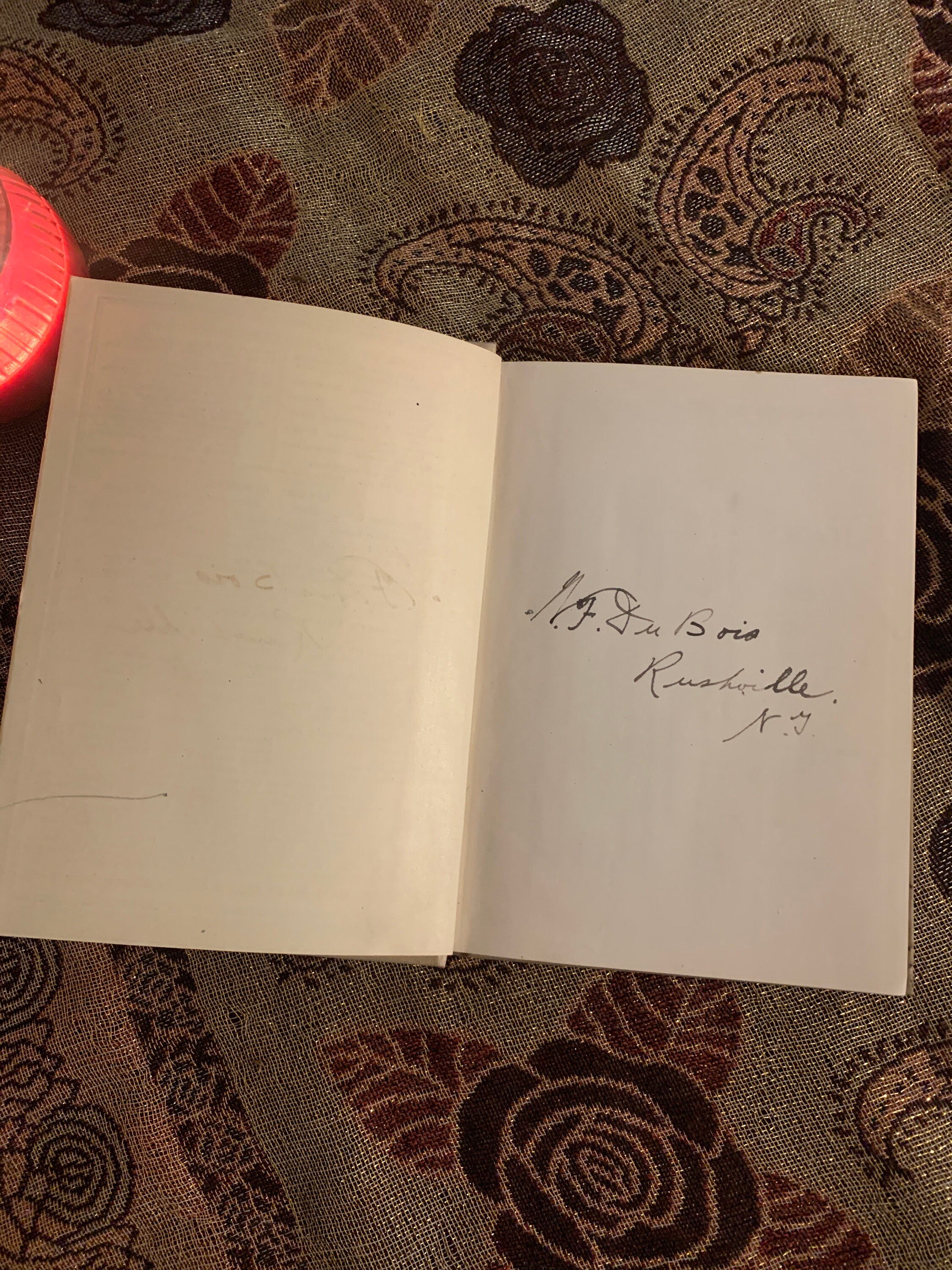 Graded Lessons in English Reed and Kellogg Hardcover 1890 - Etsy