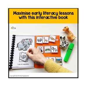 Zoo Animals Interactive Adapted Book, Zoo Theme Printables, Zoo Animals ...