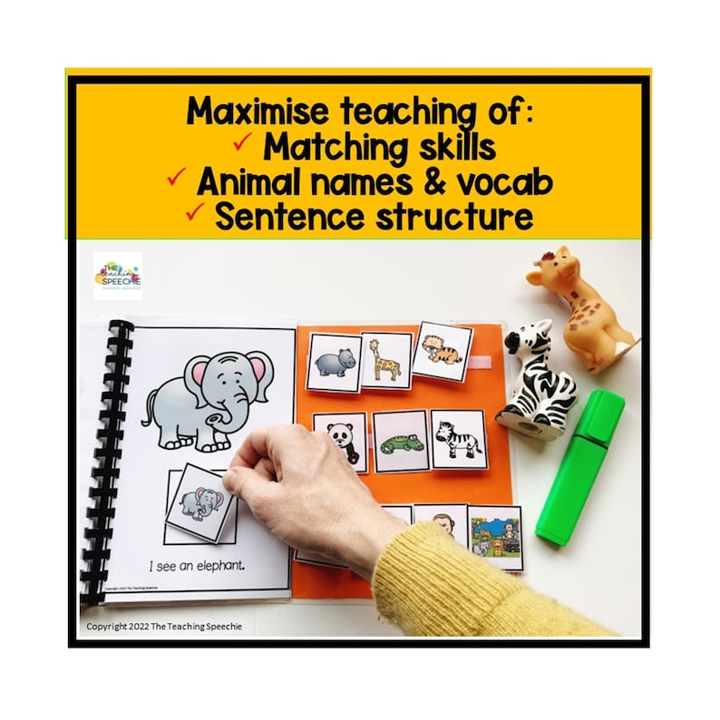 Zoo Animals Interactive Adapted Book, Zoo Theme Printables, Zoo Animals ...