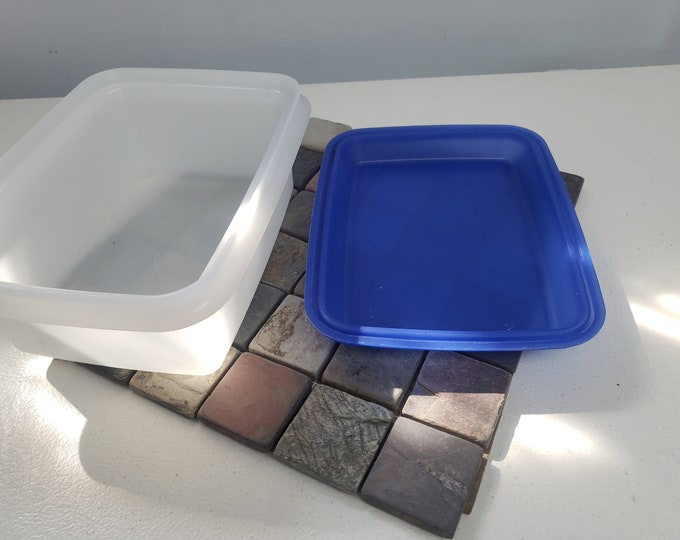 1980s Tupperware Freeze N Save Container Half Gallon Ice Cream Keeper ...