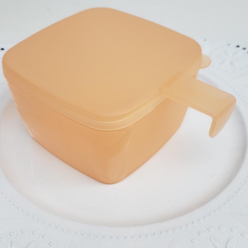 Tupperware Cheese Kun - Etsy Canada