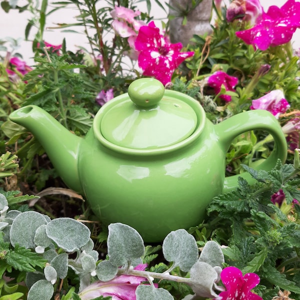 Decorative Tea Pot - Etsy