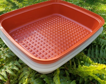 Tupperware Marinating Container - Etsy