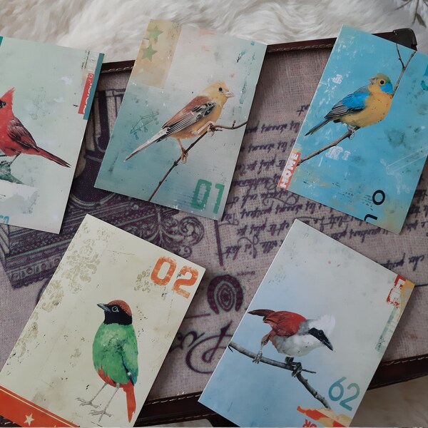 Bird Postcards - Etsy