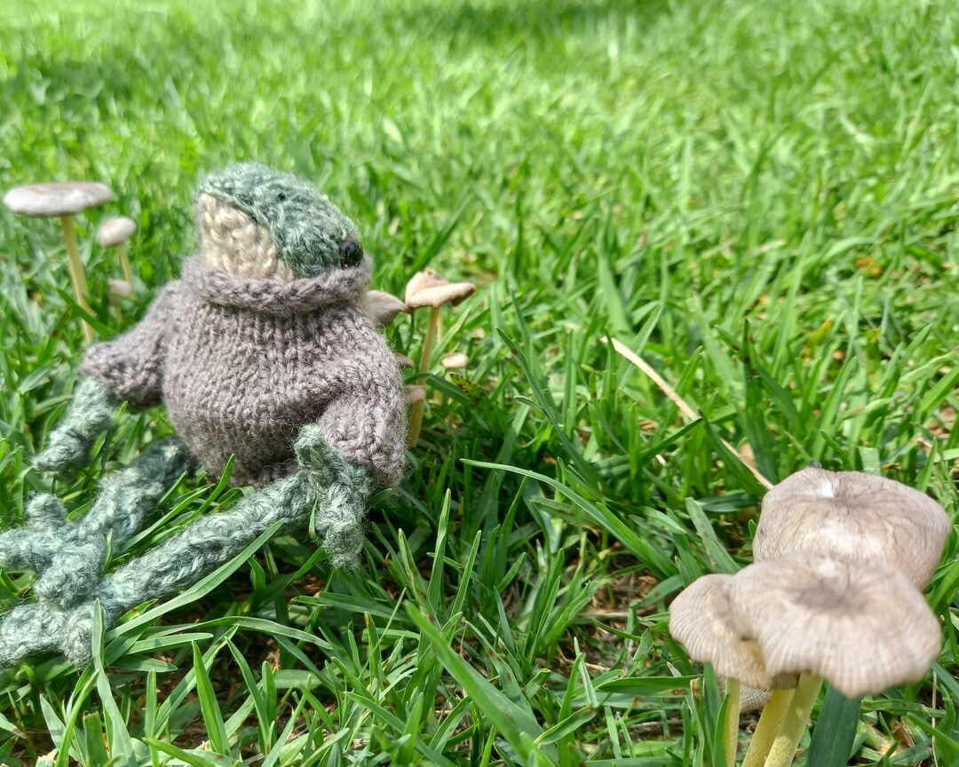 Hand-knitted Frog With Sweater, Miniature Frog Doll - Etsy