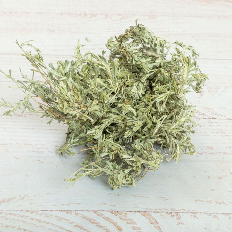 Fresh Sage, Preserved Sage, Bunch of Wild Sage, Sage for Purification ...