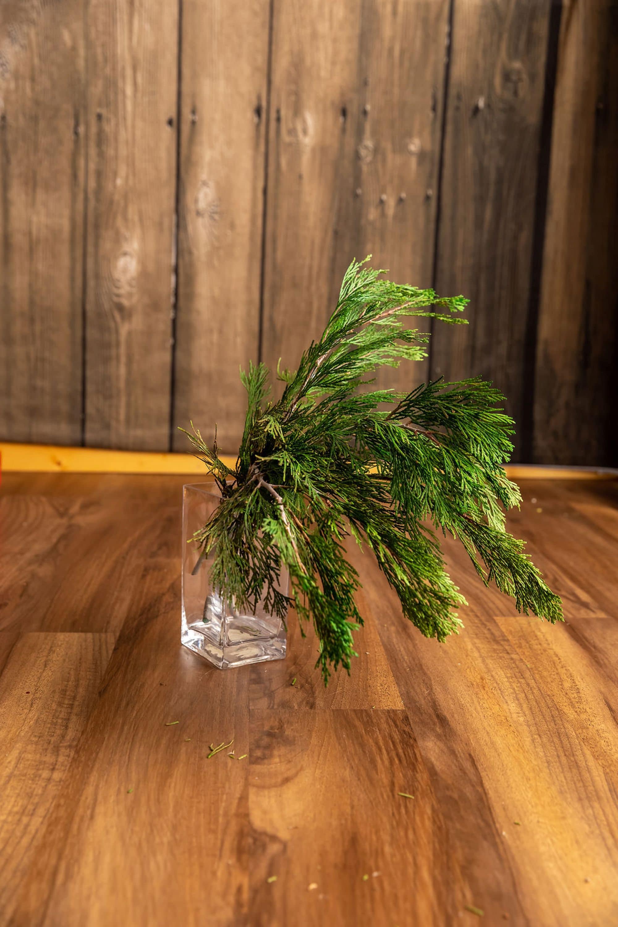 Fresh Cedar Branches, Preserved Cedar, Preserved Greenery, Greenery for ...