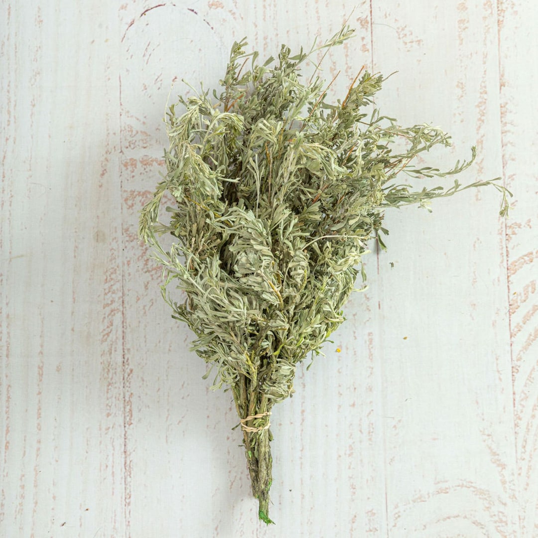 Fresh Sage, Preserved Sage, Bunch of Wild Sage, Sage for Purification ...