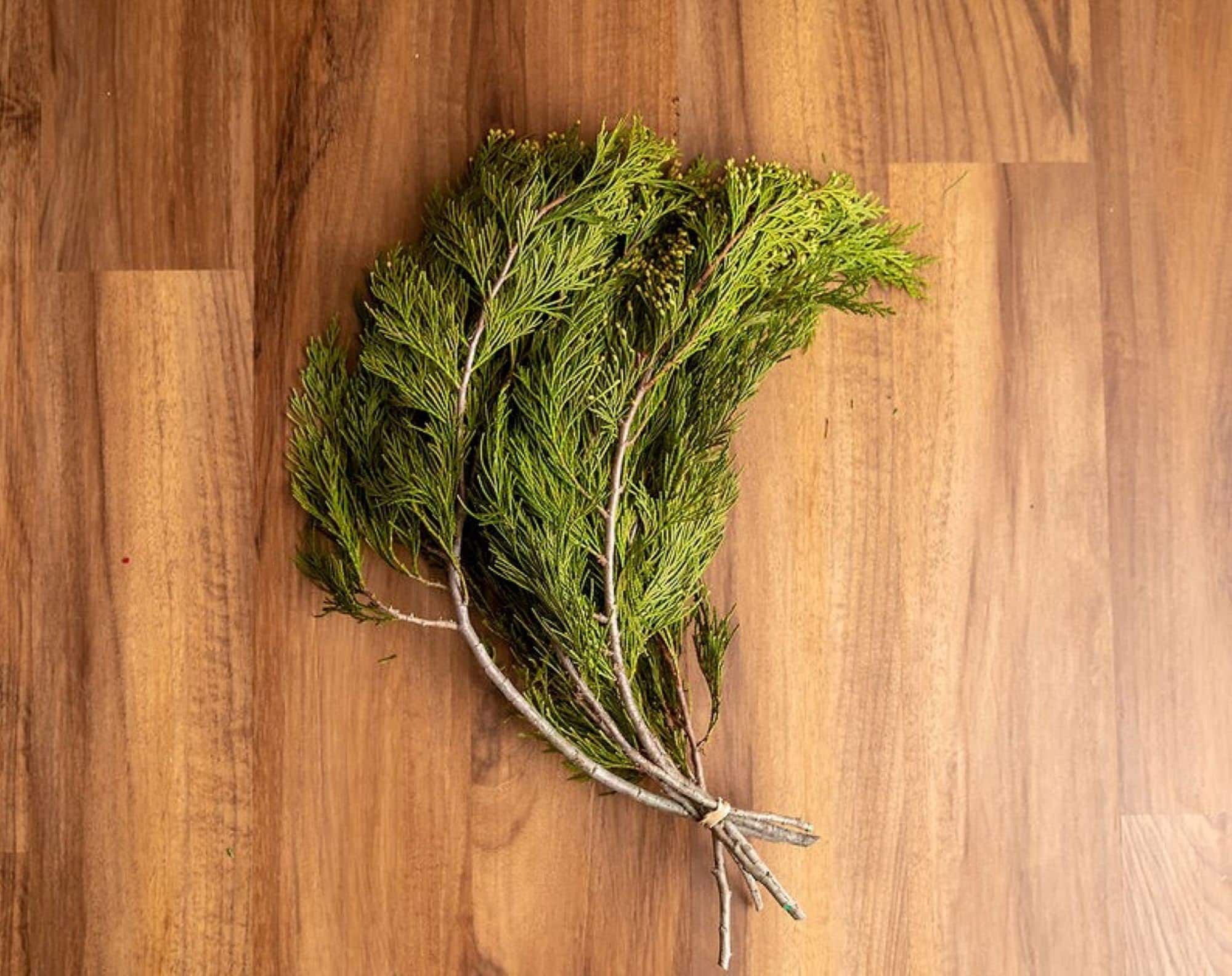 Fresh Cedar Branches, Preserved Cedar, Preserved Greenery, Greenery for ...