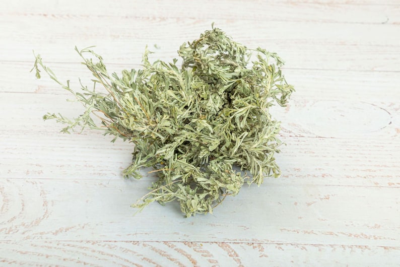 Fresh Sage, Preserved Sage, Bunch of Wild Sage, Sage for Purification ...