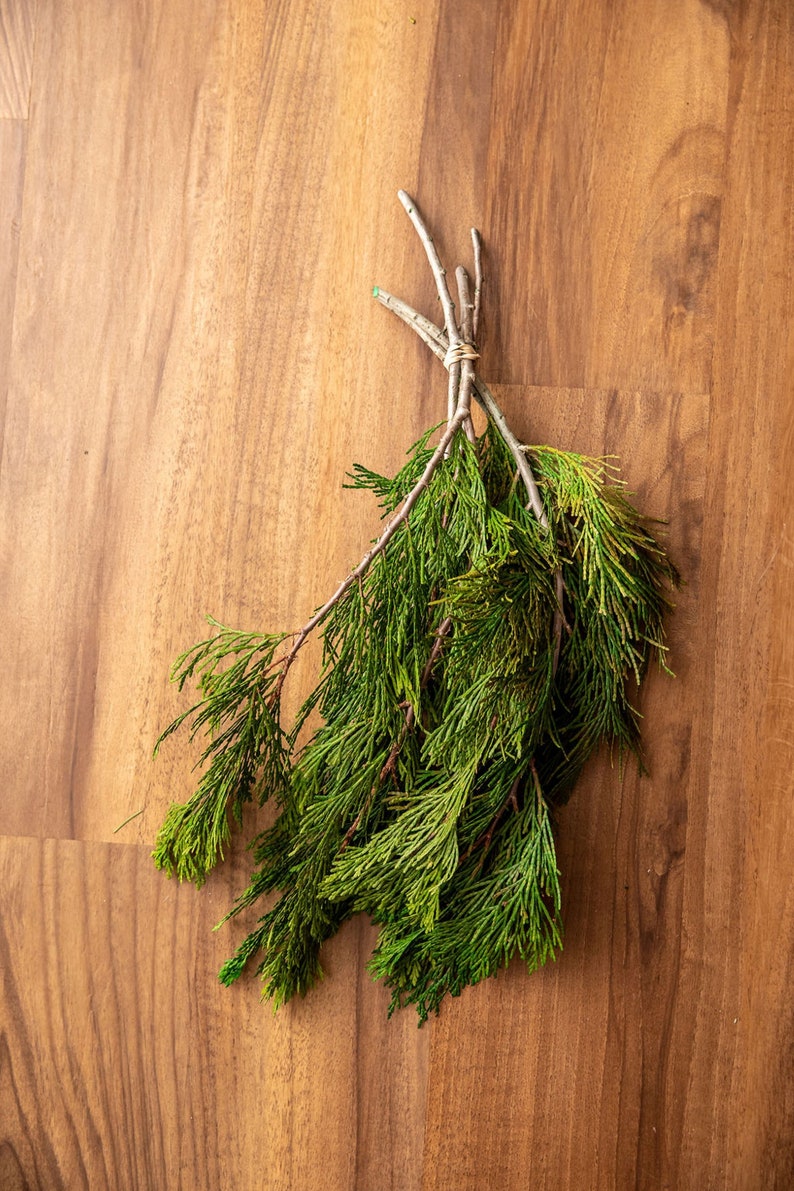 Fresh Cedar Branches Preserved Cedar Preserved Greenery - Etsy