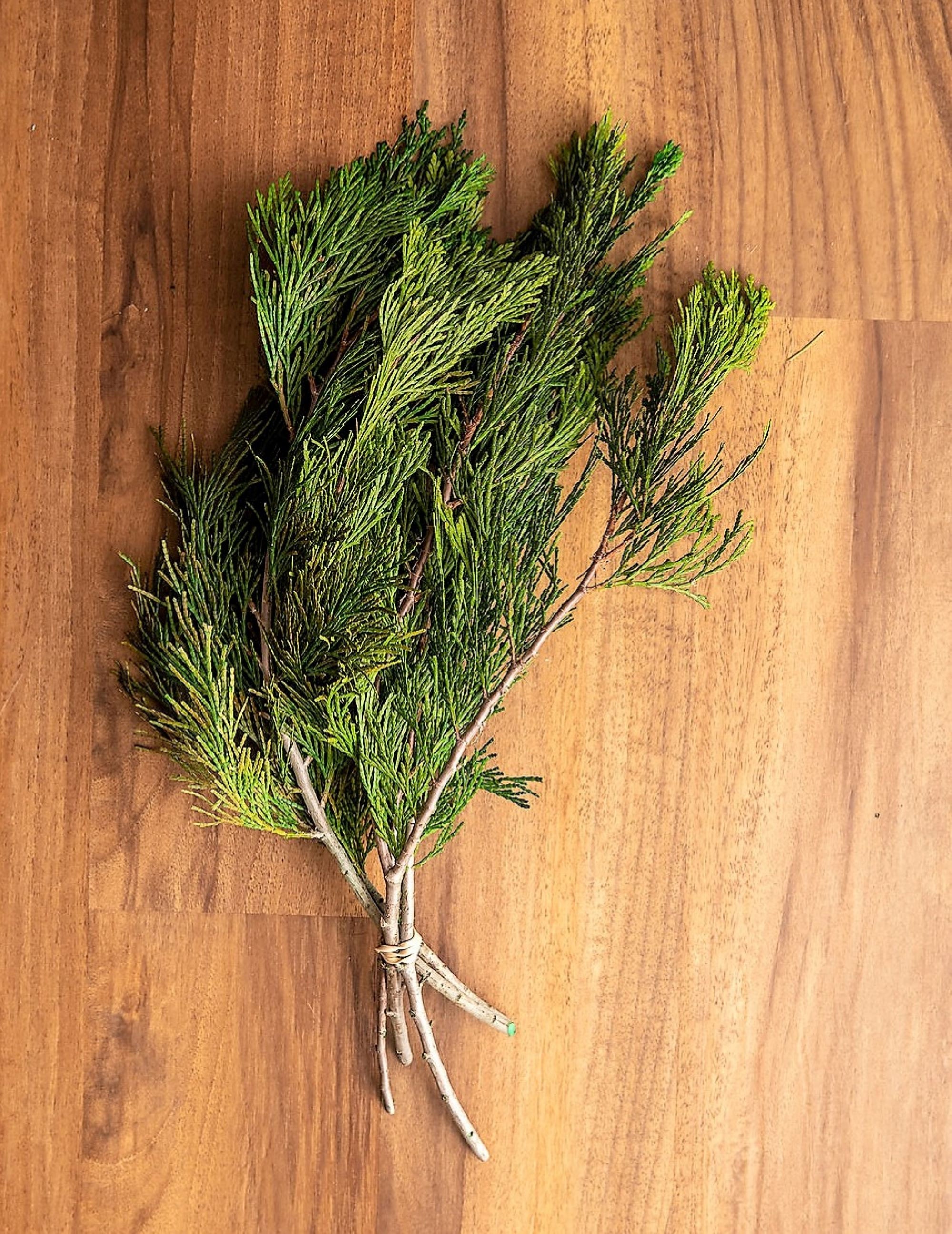 Fresh Cedar Branches, Preserved Cedar, Preserved Greenery, Greenery for ...