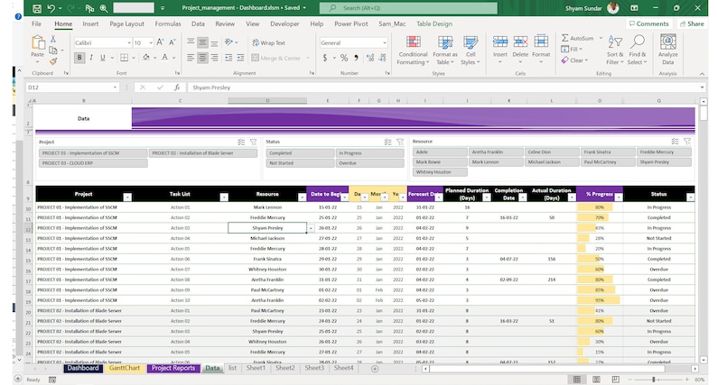 Project Management Dashboard Gantt Chart Project - Etsy
