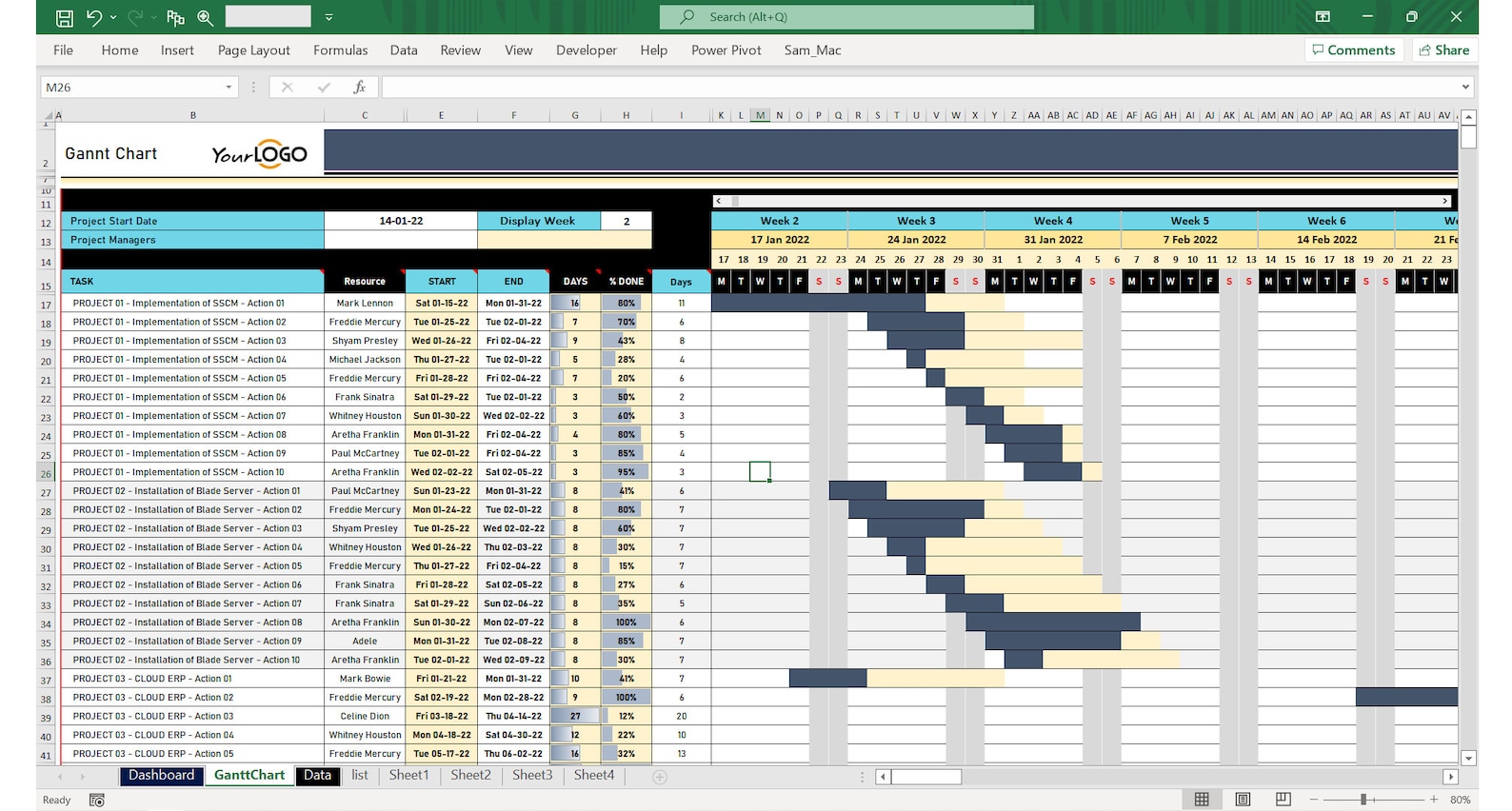 Excel Project Management Dashboard: Gantt Chart, Status Report - Etsy