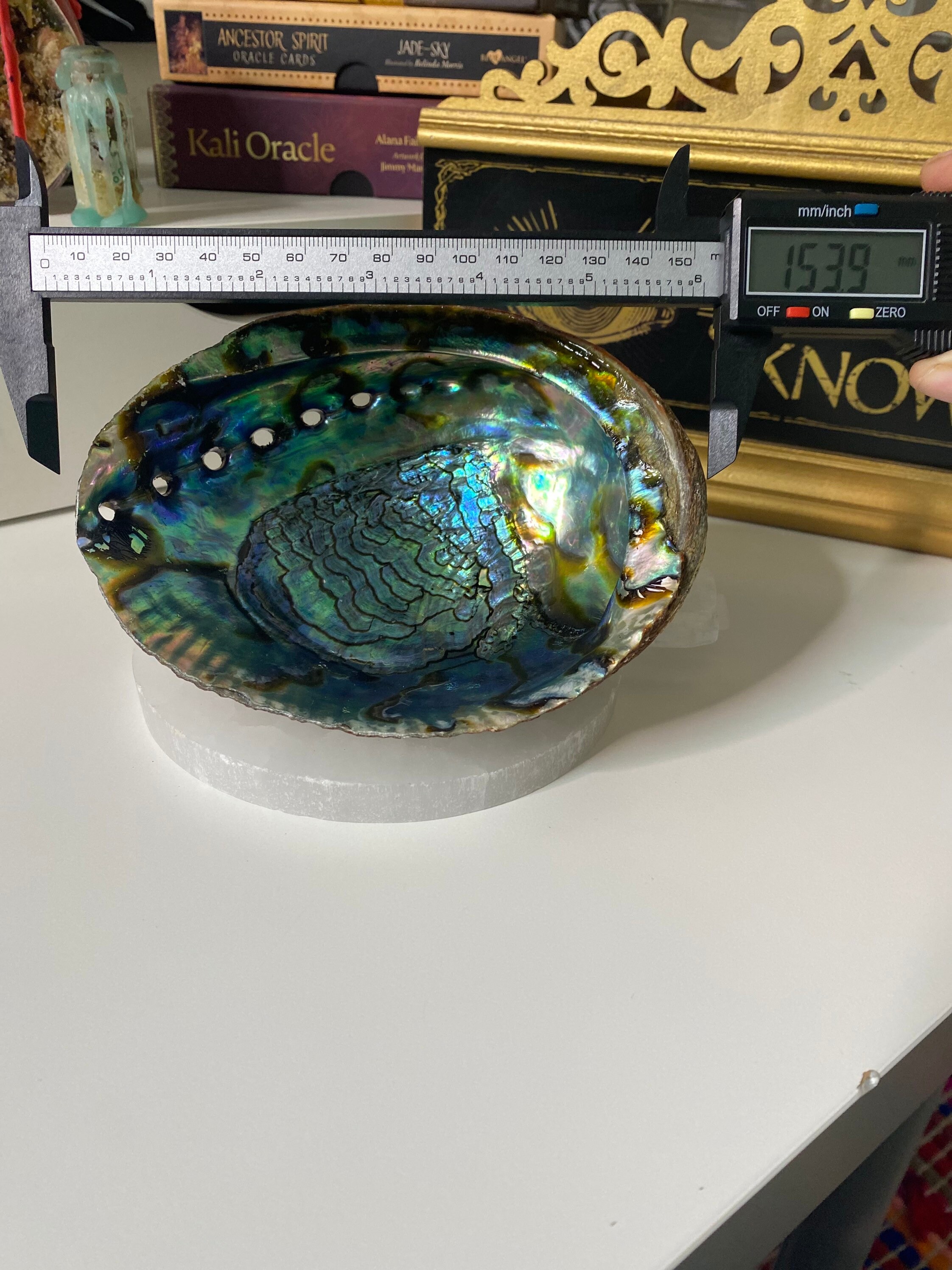 XL Abalone Shell Abalone Smoke Cleanse - Etsy