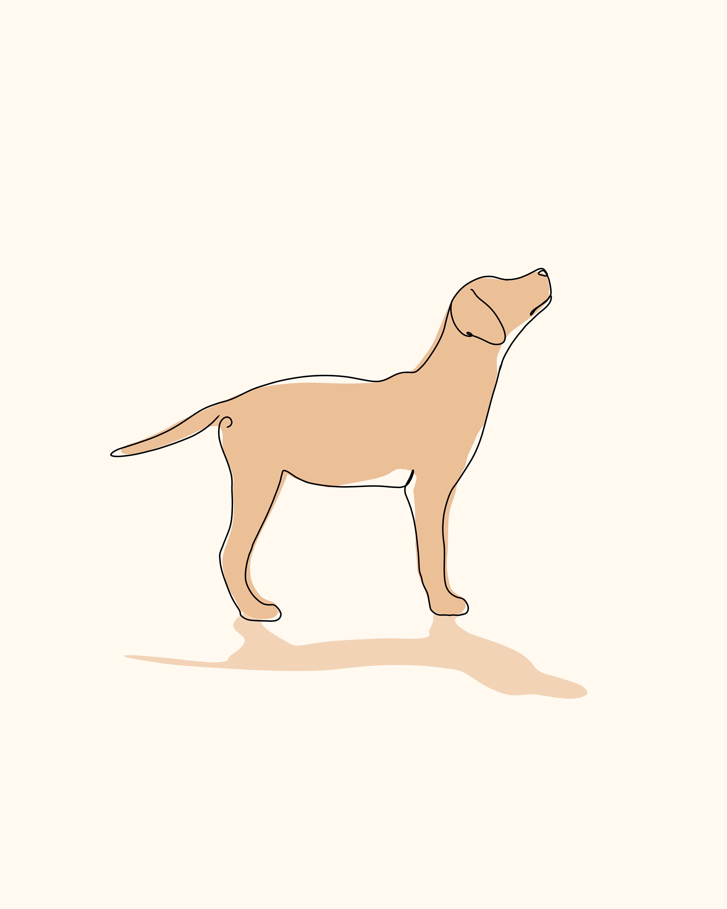 Dog Laying Down Side View Drawing