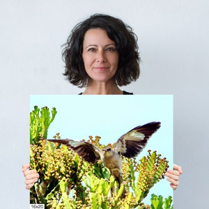 Mockingbird Mating Dance, Photography, Canvas, Print, Livingroom ...