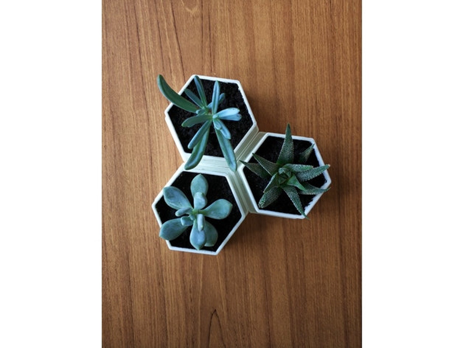 Flower pot for succulents. STL File for 3D Printing Digital | Etsy