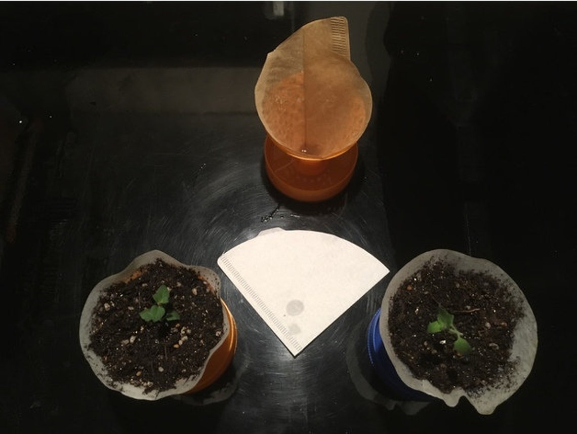 Self Watering Seedling Planter. STL File for 3D Printing - Etsy
