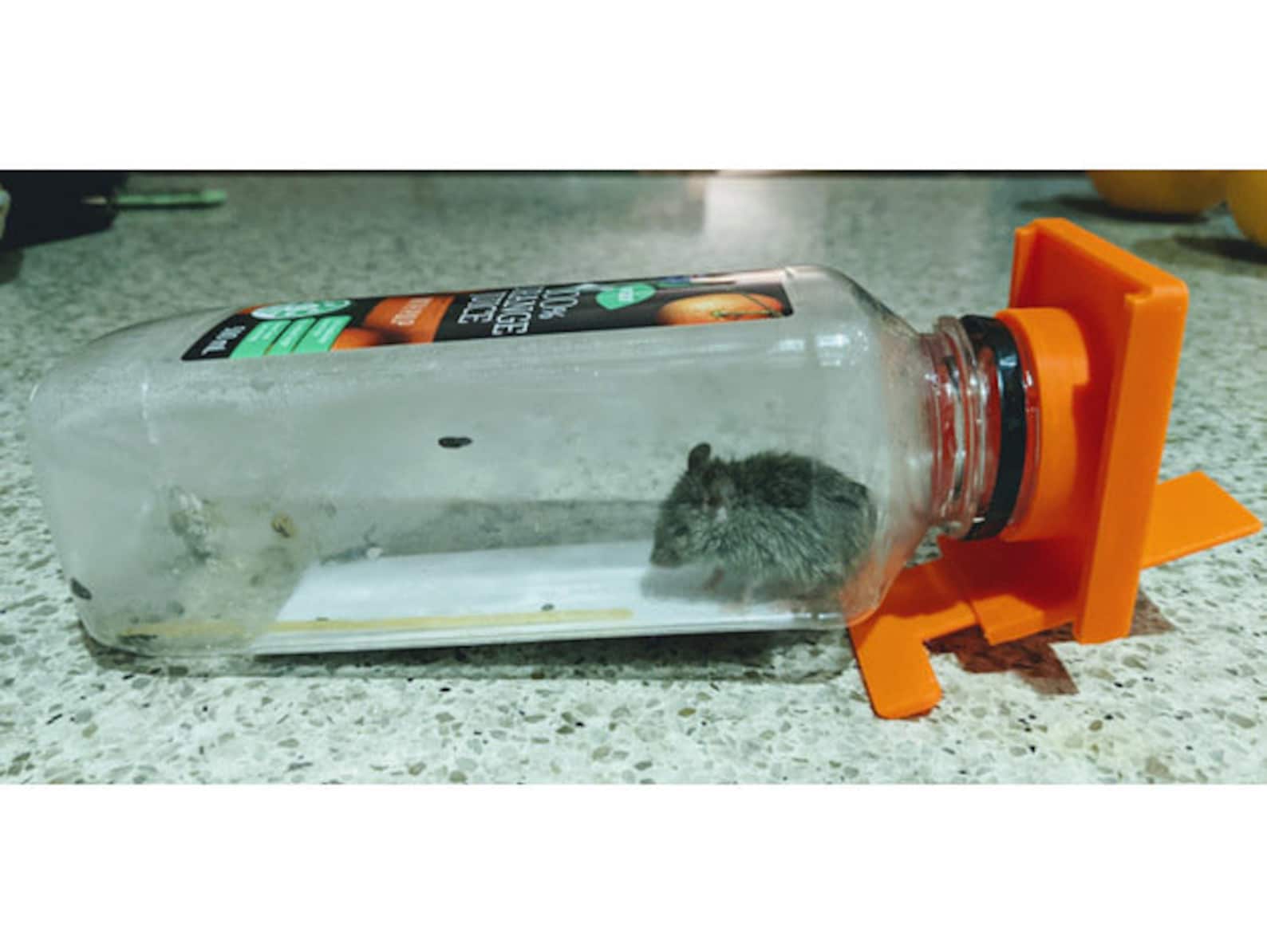 Bottle Mouse Trap. STL File for 3D Printing Digital - Etsy