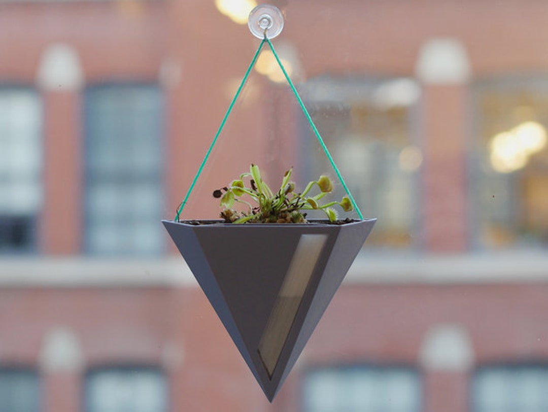 Fuze Hanging Planter. STL File for 3D Printing - Digital Download. - Etsy