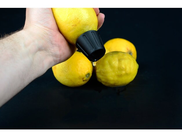 Lemon Bolt. STL File for 3D Printing Digital Download. - Etsy