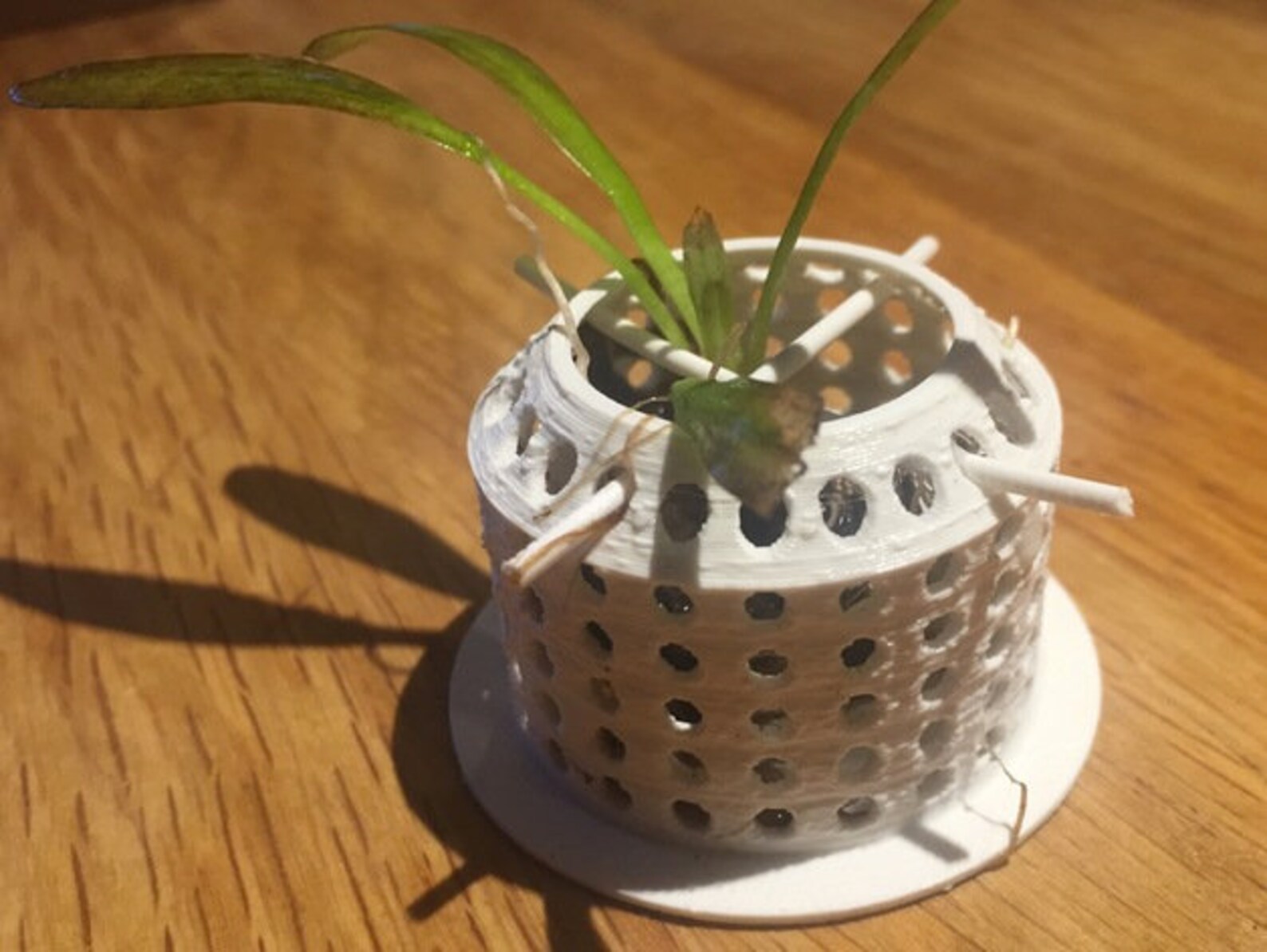 Aquarium Planter. STL File for 3D Printing Digital Download. - Etsy UK