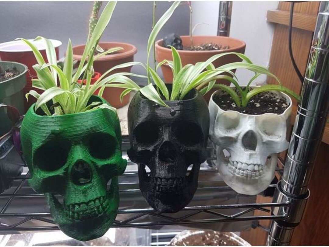 Skull Pot. STL File for 3D Printing - Digital Download. - Etsy