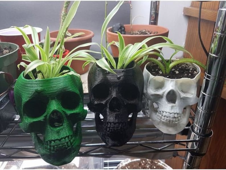 Skull Pot. STL File for 3D Printing - Digital Download. - Etsy