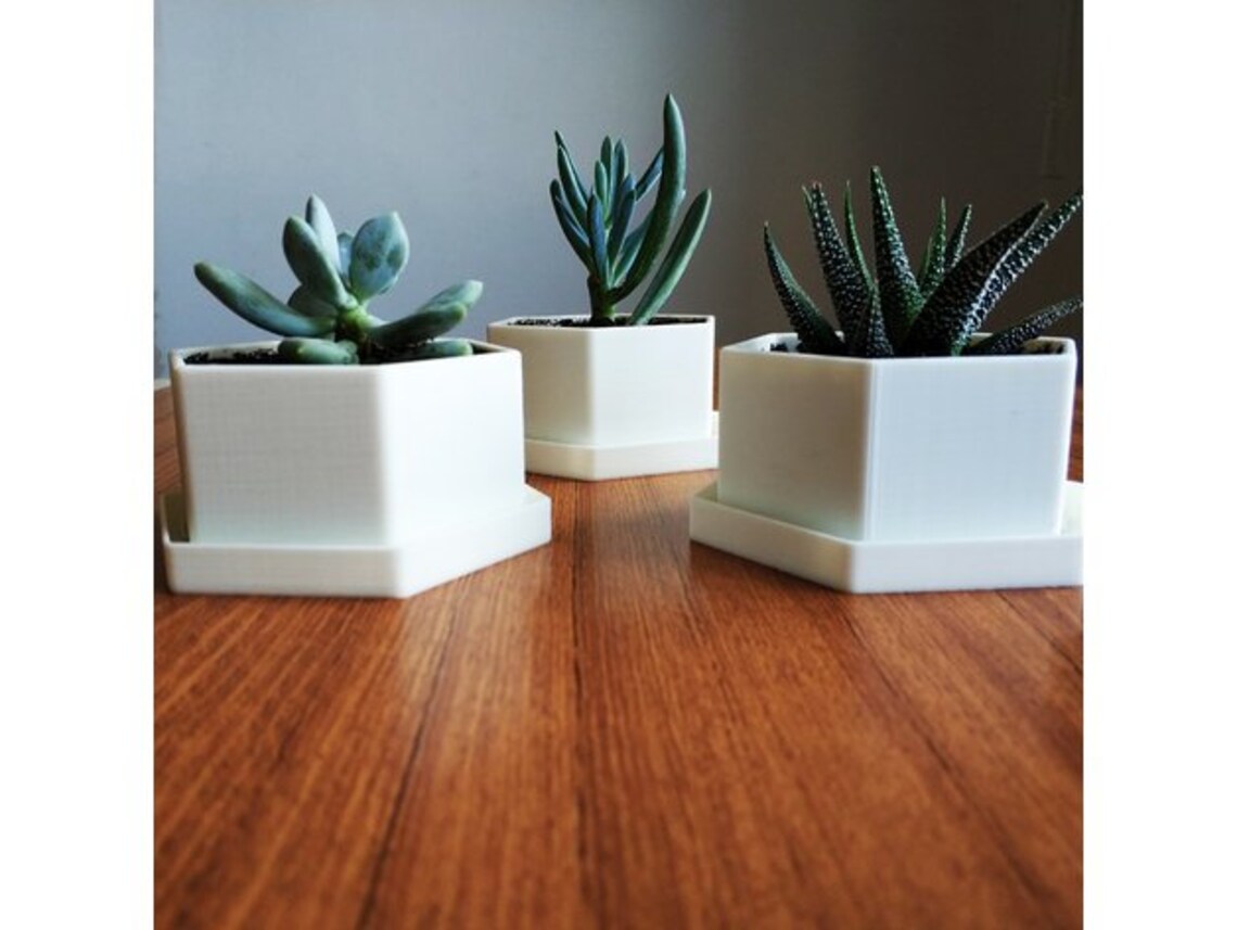 Flower pot for succulents. STL File for 3D Printing Digital | Etsy