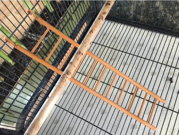 Cage Ladder. STL File for 3D Printing Digital Download. - Etsy