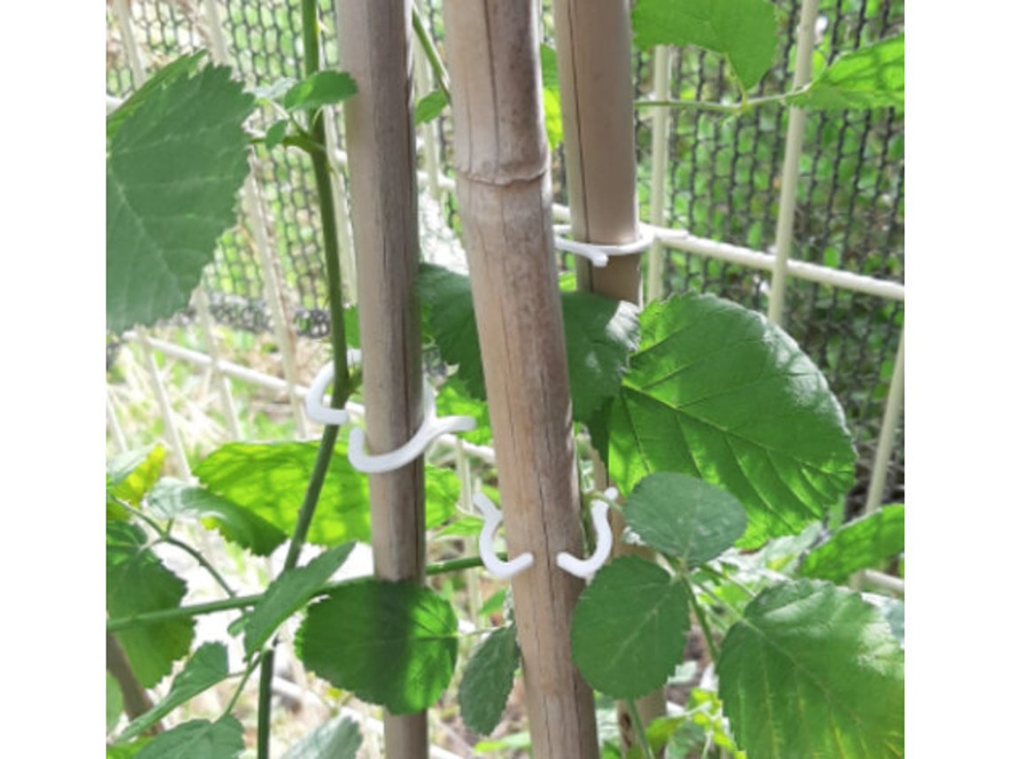 Clips for Plants. STL File for 3D Printing - Digital Download. - Etsy