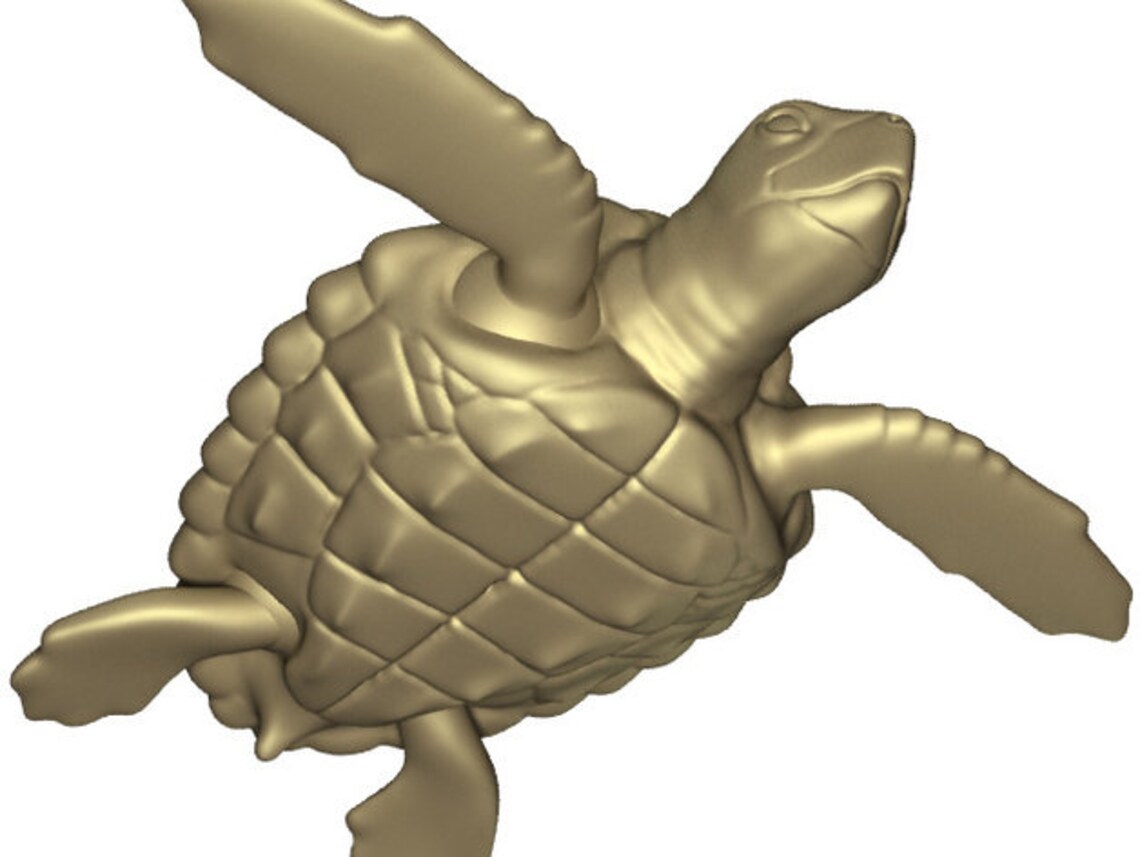 Loggerhead Sea Turtle poseable. STL File for 3D Printing | Etsy