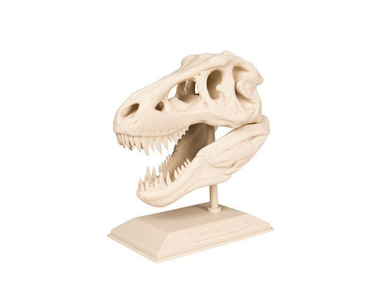 Die T-Rex Skull.STL Datei für den 3D Druck Digitaler Download. - Etsy.de