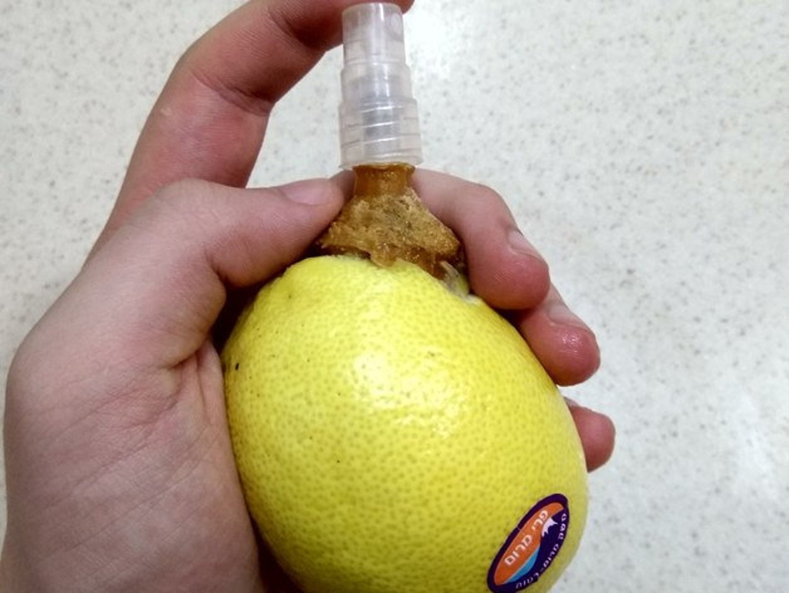 Screw-in Lemon Mister!. STL File for 3D Printing - Digital Download. - Etsy