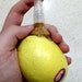 Screw-in Lemon Mister!. STL File for 3D Printing - Digital Download. - Etsy