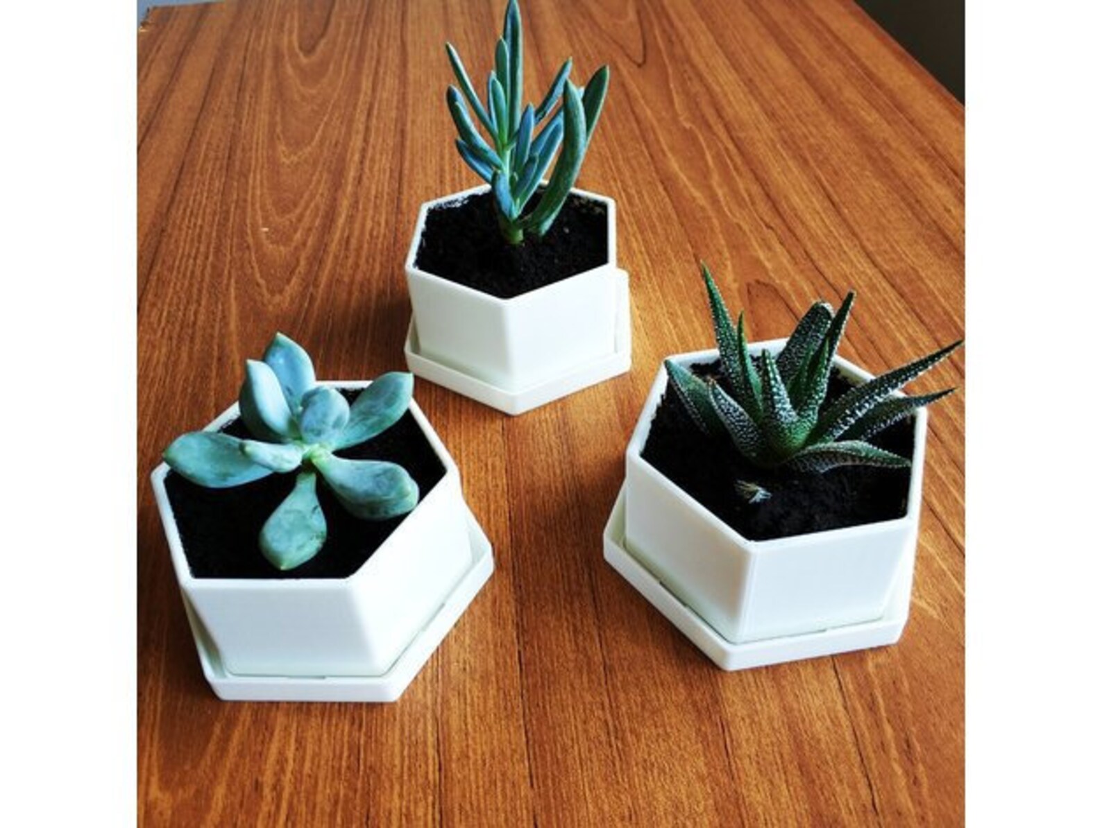 Flower pot for succulents. STL File for 3D Printing Digital | Etsy