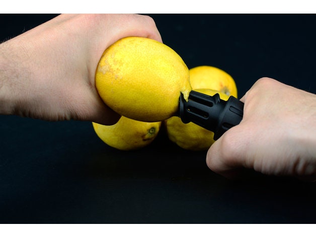 Lemon Bolt. STL File for 3D Printing Digital Download. - Etsy