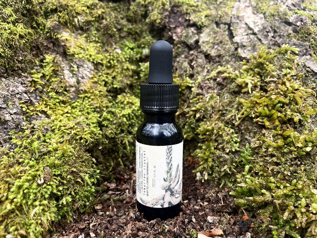 New Earth Vision Elixir || Chickweed Consciousness || Elixir of Pure ...