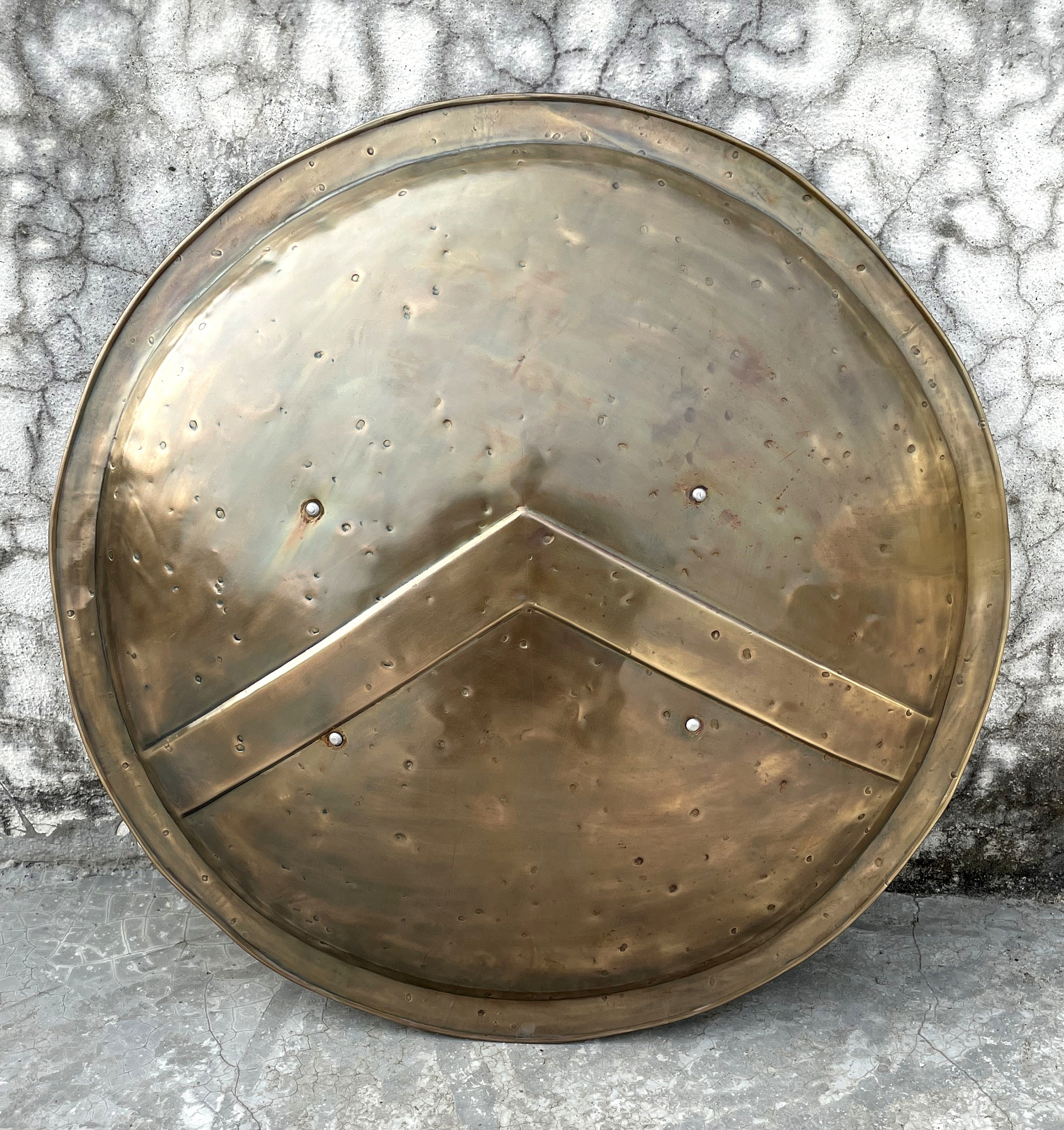 Spartan 300 Shield