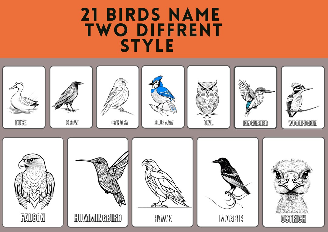 Set of 21 Montessori Birds Flash Card Collection Editable PDF - Etsy